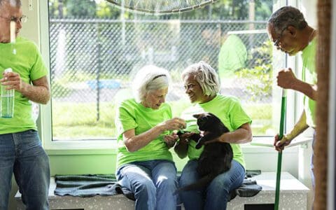 Top 9 Volunteer Opportunities For Older Adults